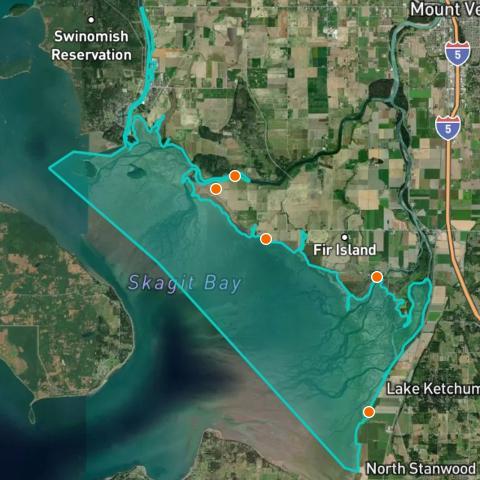 Fishing at Skagit Bay, Washington → Explore Fishing Spots & Catches