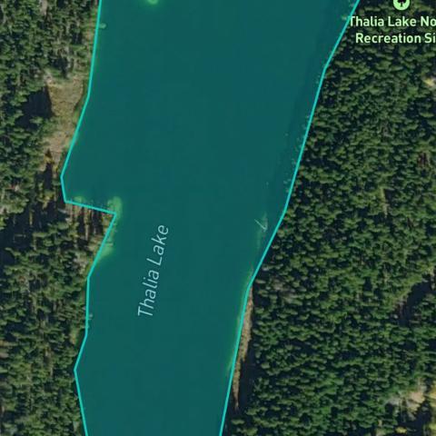 Fishing at Thalia Lake, British Columbia → Explore Fishing Spots & Catches