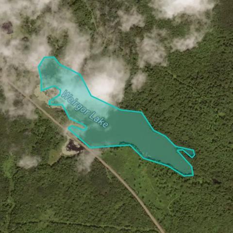 Fishing at Weirgor Lake, Wisconsin → Explore Fishing Spots & Catches