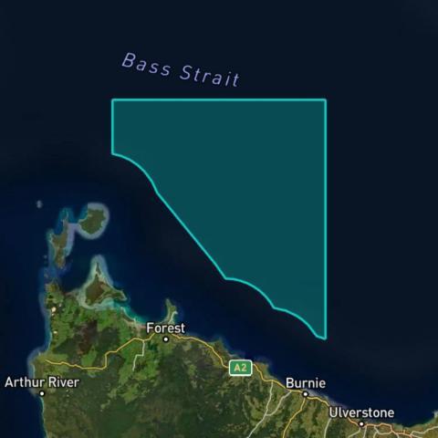 Fishing at Bass Strait → Explore Fishing Spots & Catches