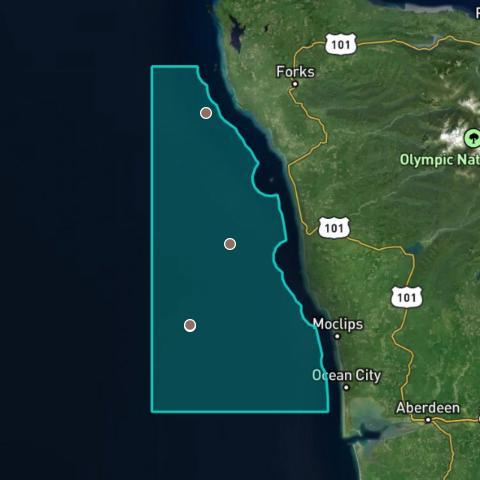 Fishing at North Pacific Ocean → Explore Fishing Spots & Catches